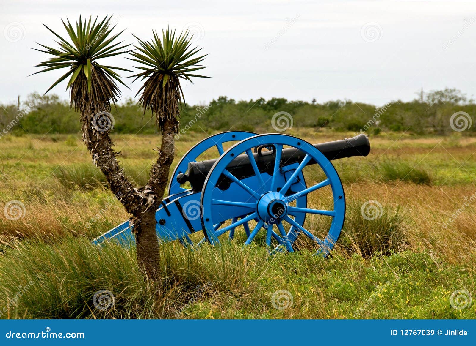 Yucca Tree and Cannon on Battlefield Stock Image - Image of border ...