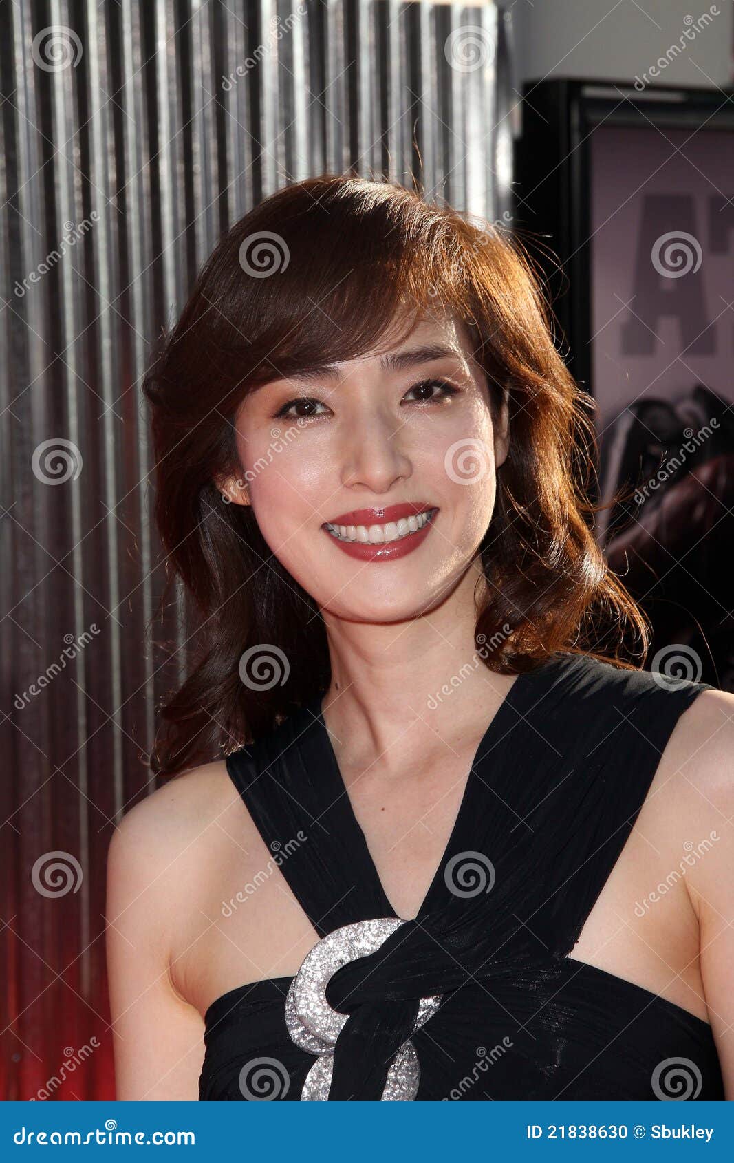 Yuki Amami editorial image. Image of yuki, steel, amami - 21838630