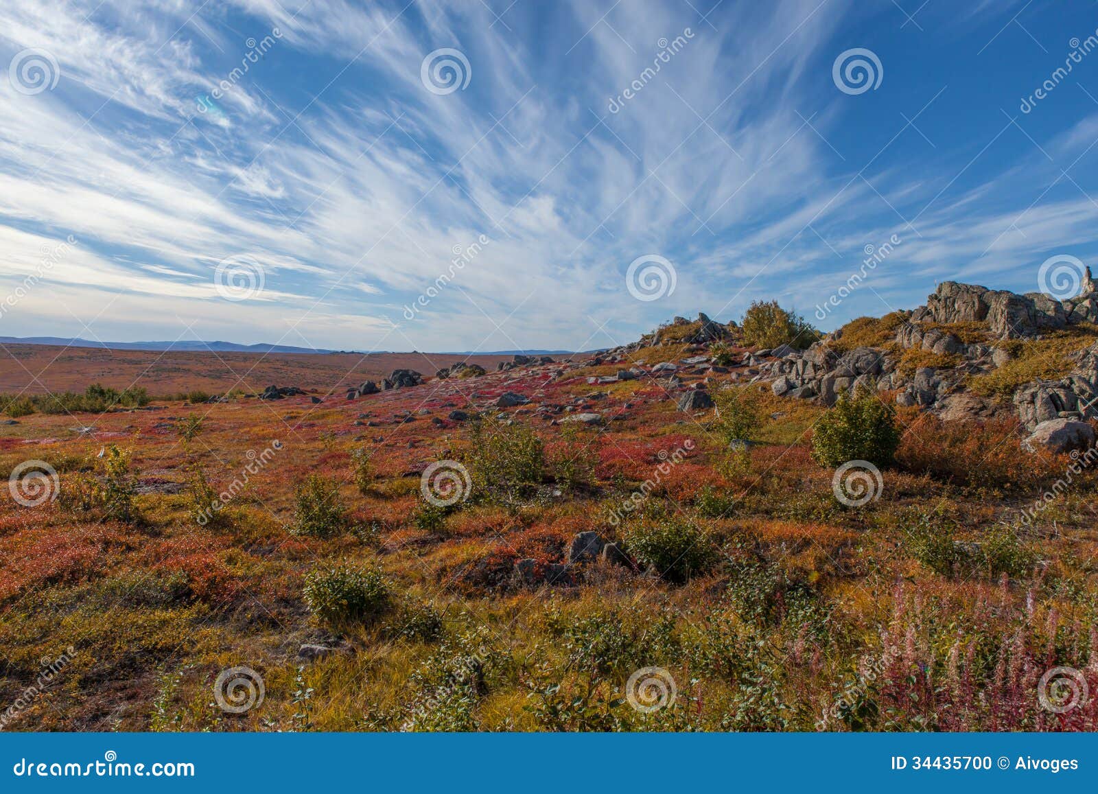 Yukon Arctic Tundra in Fall Colors Stock Photo - Image of berries, fall ...