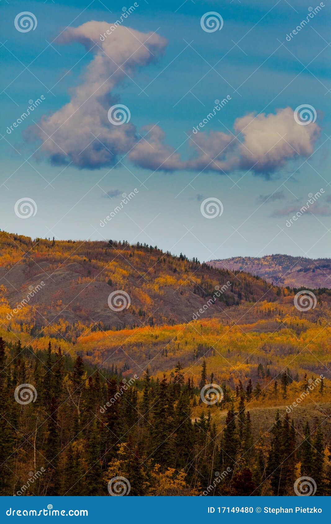 Yukon Gold - Fall in Yukon Territory, Canada Stock Photo - Image of ...