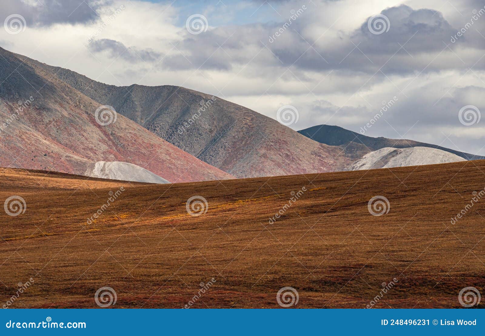 Yukon Mountain Wilderness stock image. Image of wild - 248496231