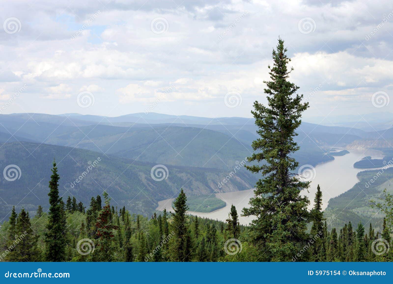 Yukon River Water Miles Canyon Whitehorse Canada Stock Image ...