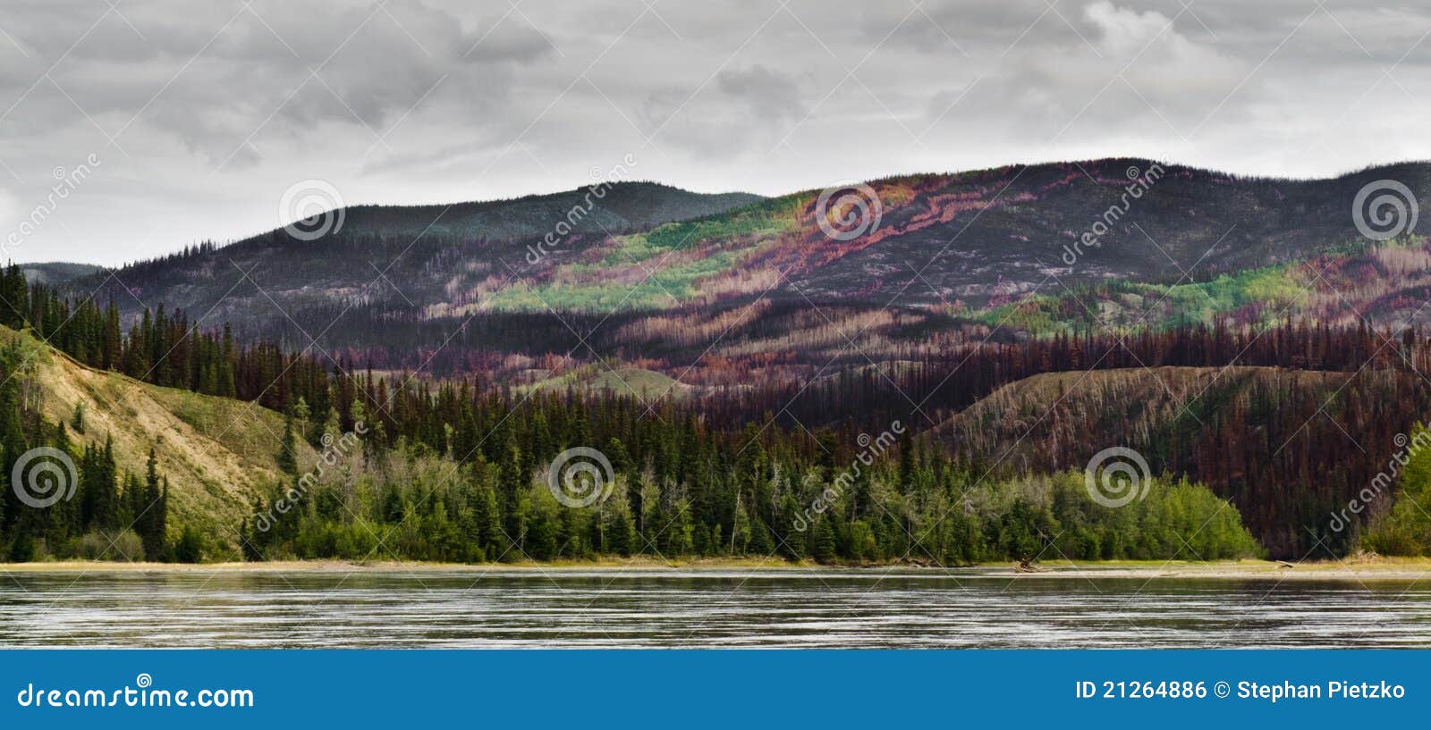 Yukon River Valley after Recent Forest Fire Stock Photo - Image of ...