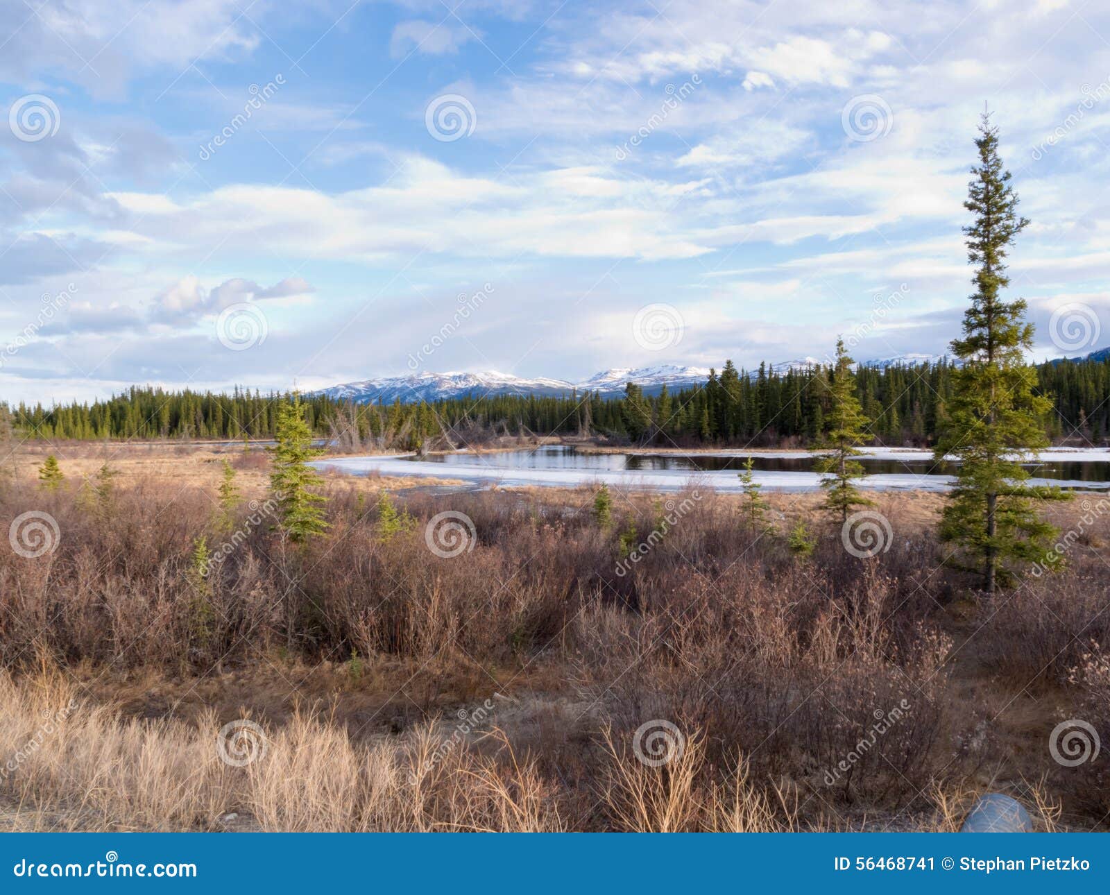 Riparian Sub-arctic Boreal Forest Wetland Aerial Stock Image ...