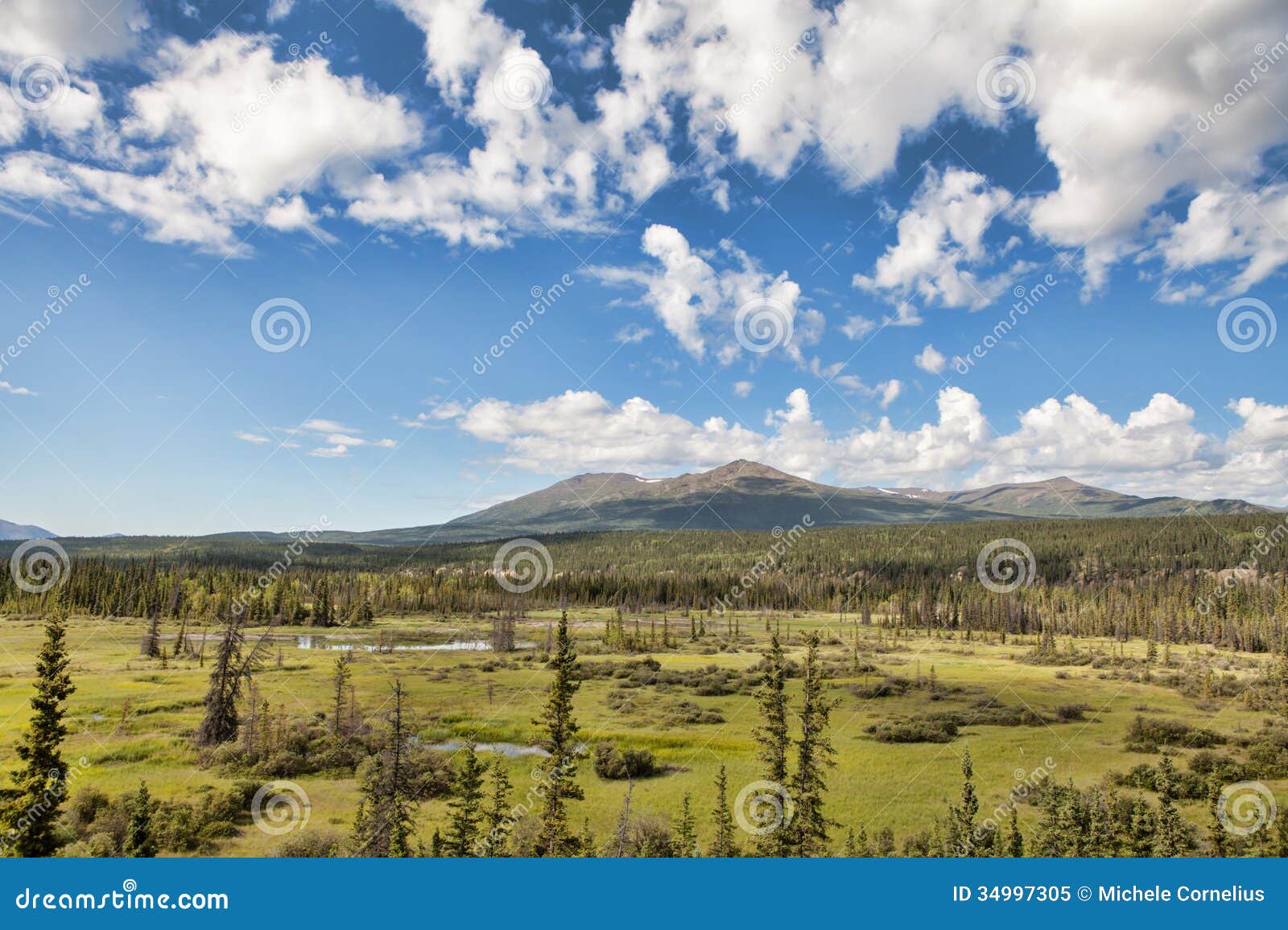 Yukon Territory Wilderness stock image. Image of nature - 34997305