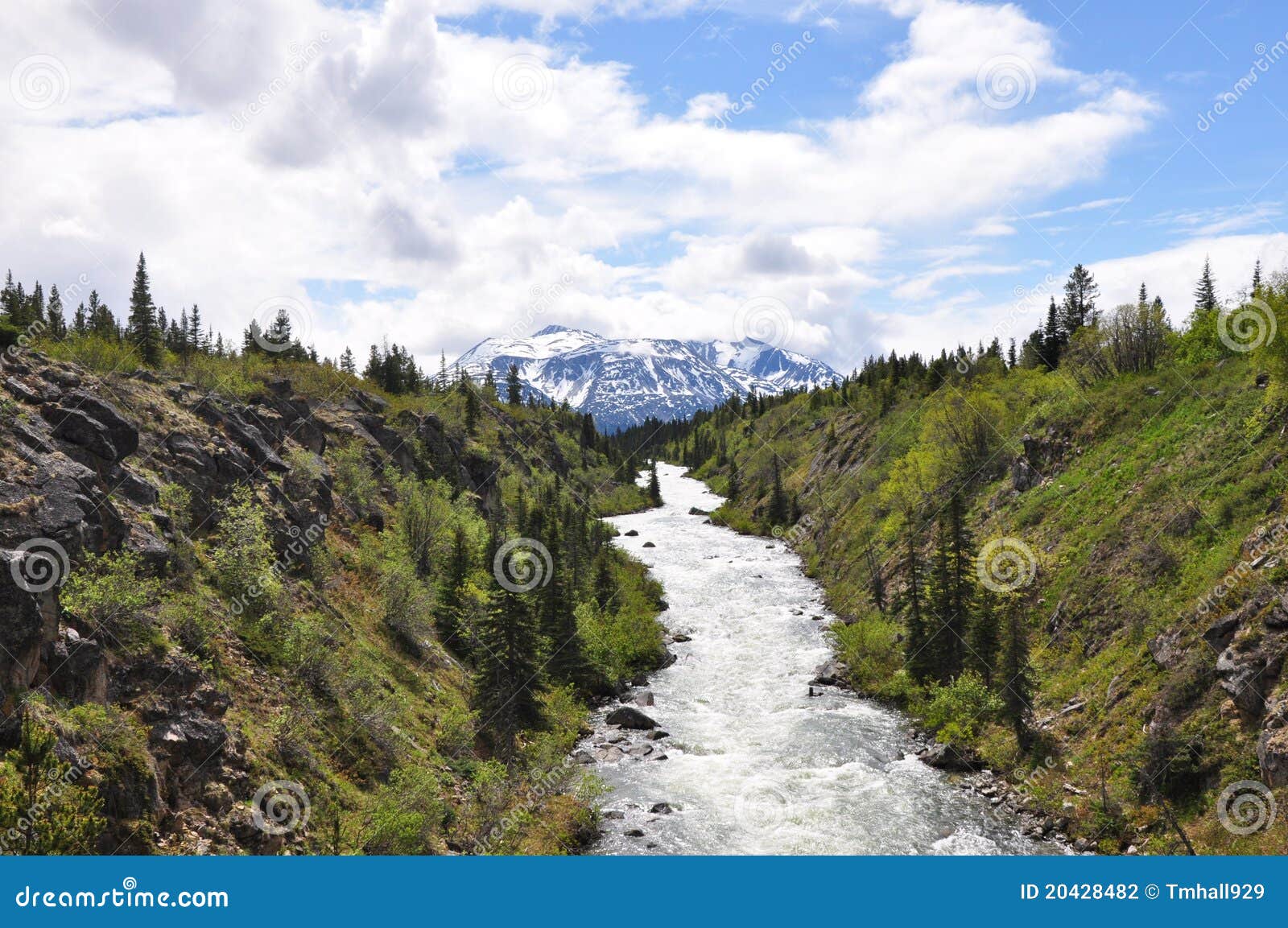 Yukon View stock photo. Image of trees, cold, snow, calming - 20428482
