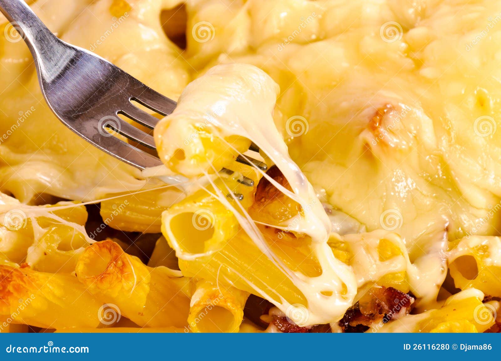 Yummy cheese stock photo. Image of elbow, kitchen, closeup - 26116280