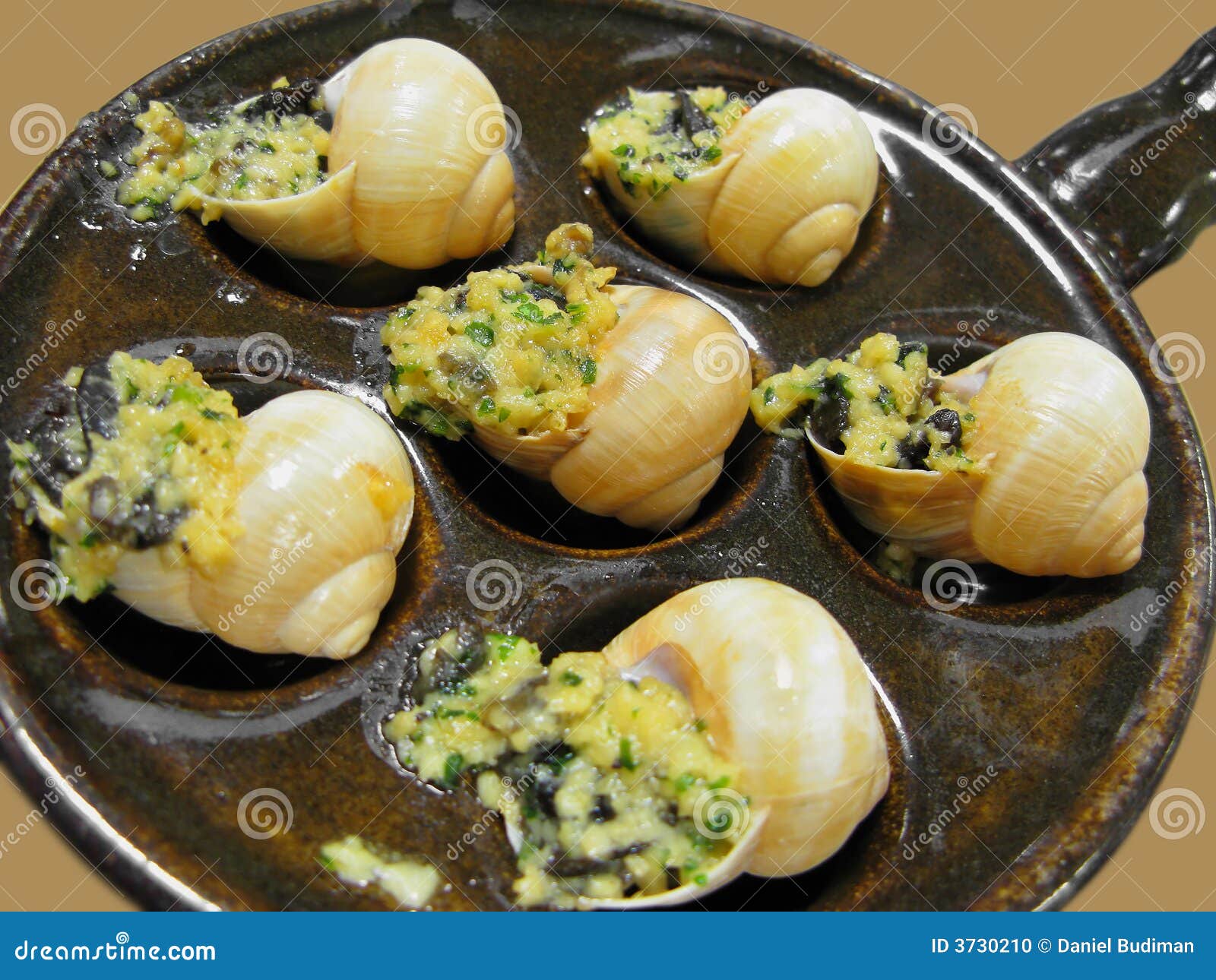 Yummy escargot cu stock photo. Image of flavor, served - 3730210