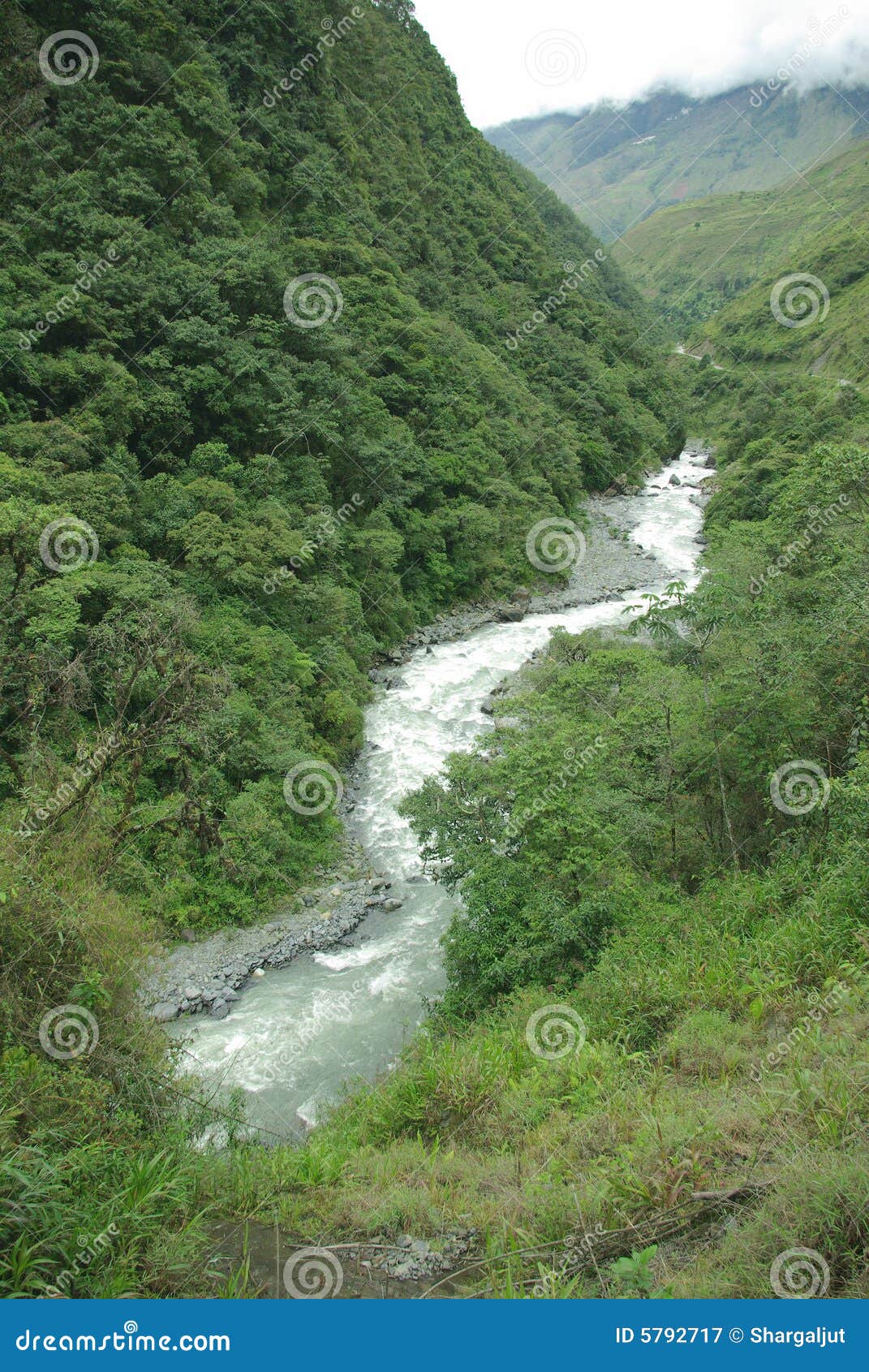 Yungas, Bolivia stock image. Image of cordillera, america - 5792717