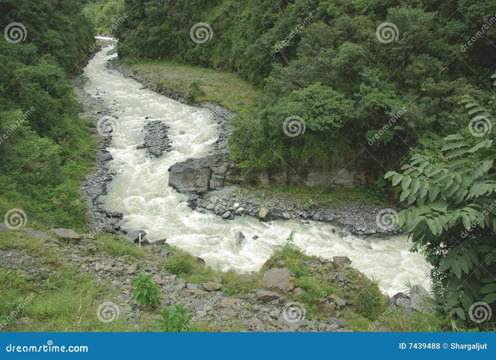 Yungas, Bolivia stock photo. Image of cordillera, south - 7439488
