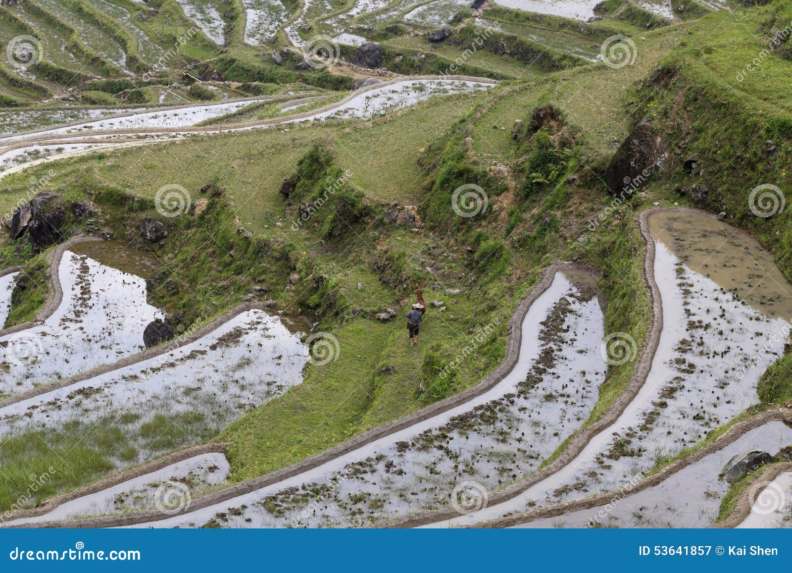 Yunhe terraces stock image. Image of curved, layer, agriculture - 53641857