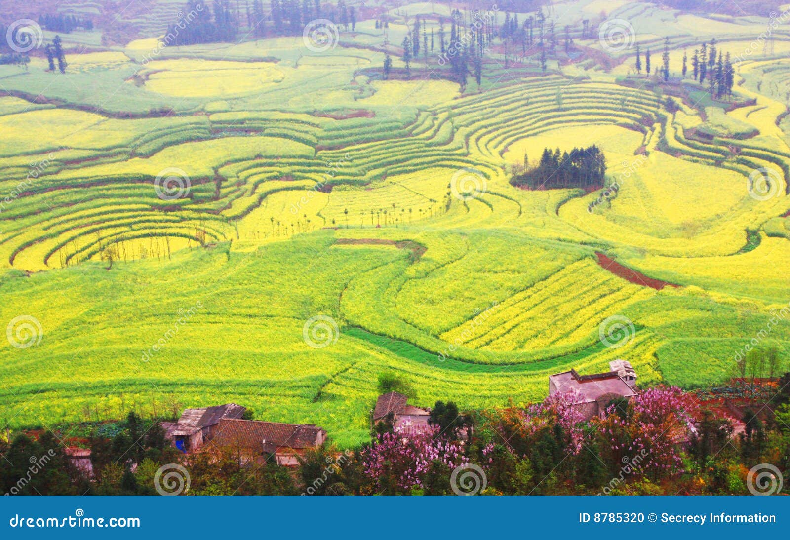 Yunnan Landscape stock photo. Image of field, green, china - 8785320