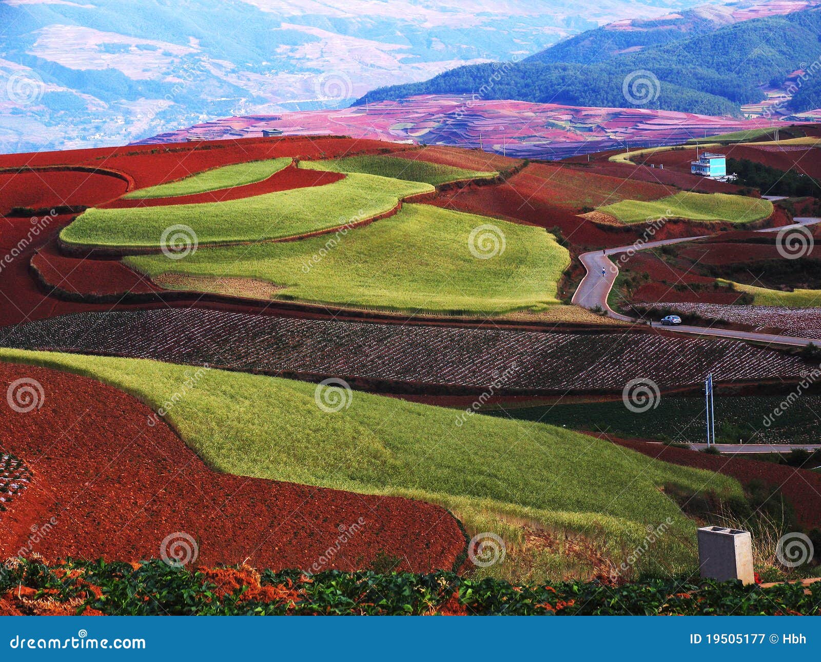 Yunnan red soil dry stock image. Image of field, grass - 19505177