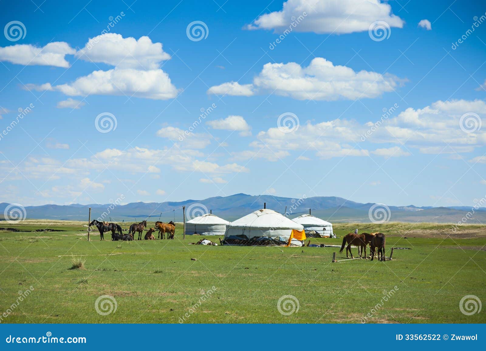 Yurts and Horses in Mongolia Stock Photo - Image of morning, animal ...