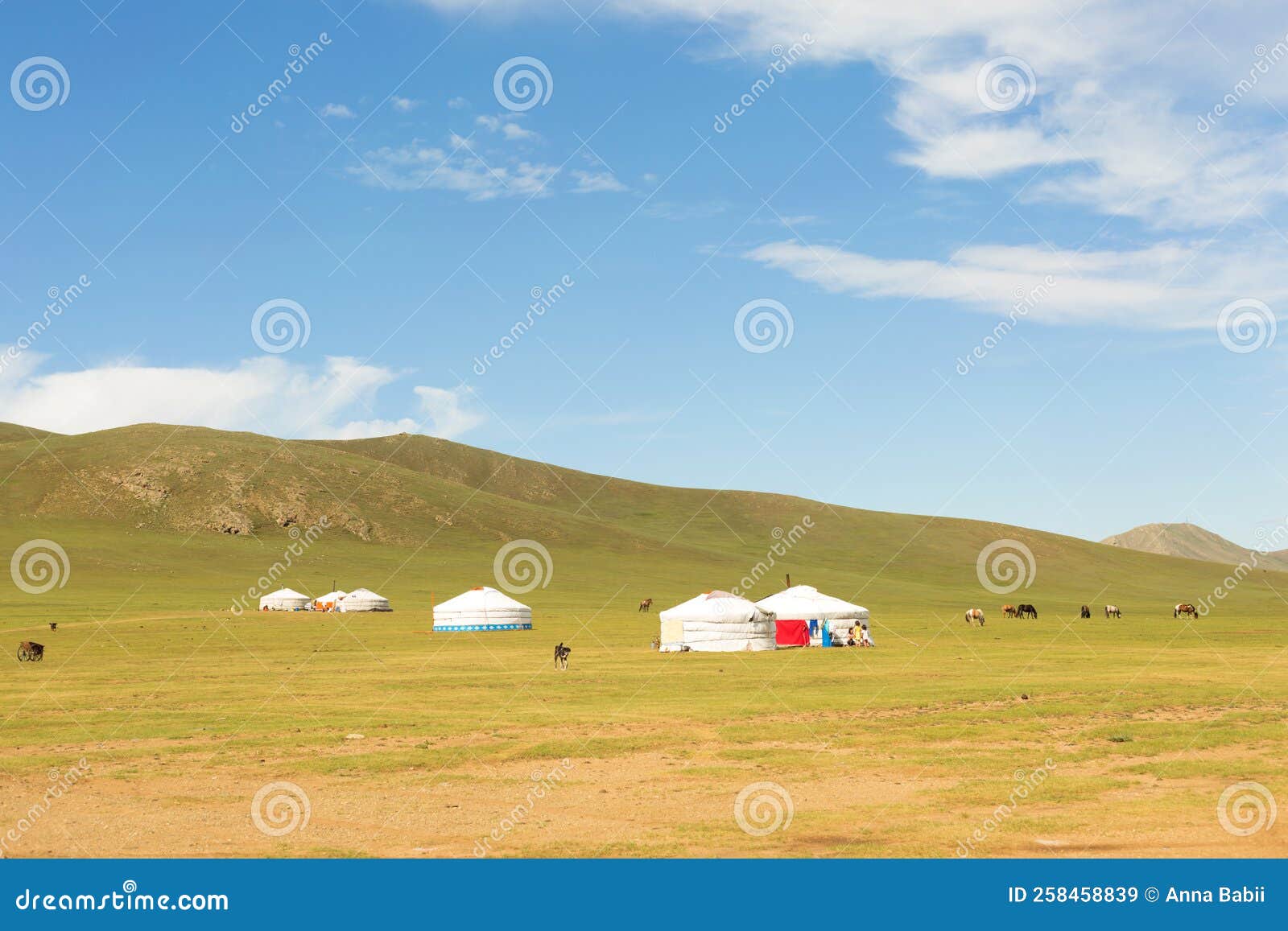 Yurts and Horses in Mongolian Steppe Stock Image - Image of grass ...