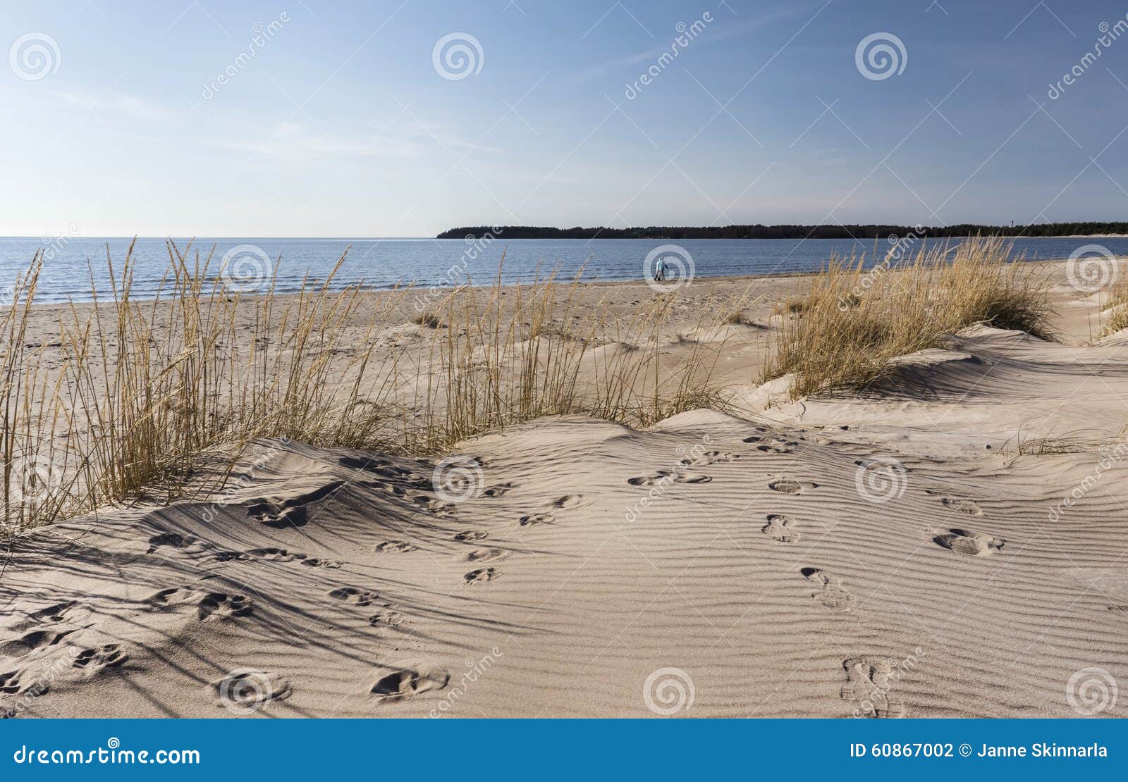 Yyteri Beach In Spring Stock Photography | CartoonDealer.com #60868274