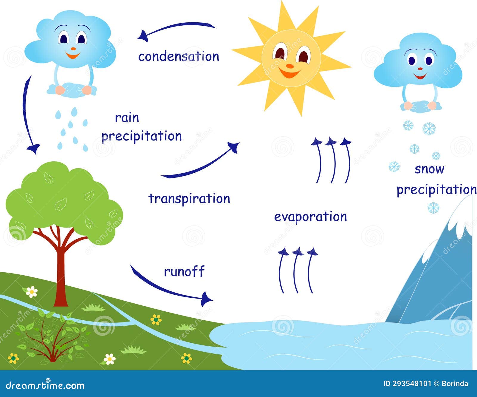 Cartoons Water Cycle Vector Illustration Stock Vector - Illustration of ...