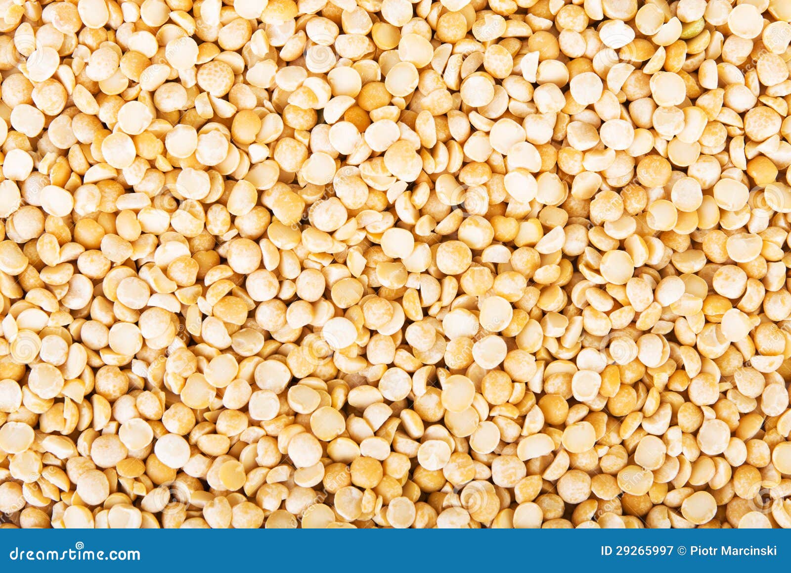 Zaad van Erwt stock afbeelding. Image of korrels, landbouw - 29265997