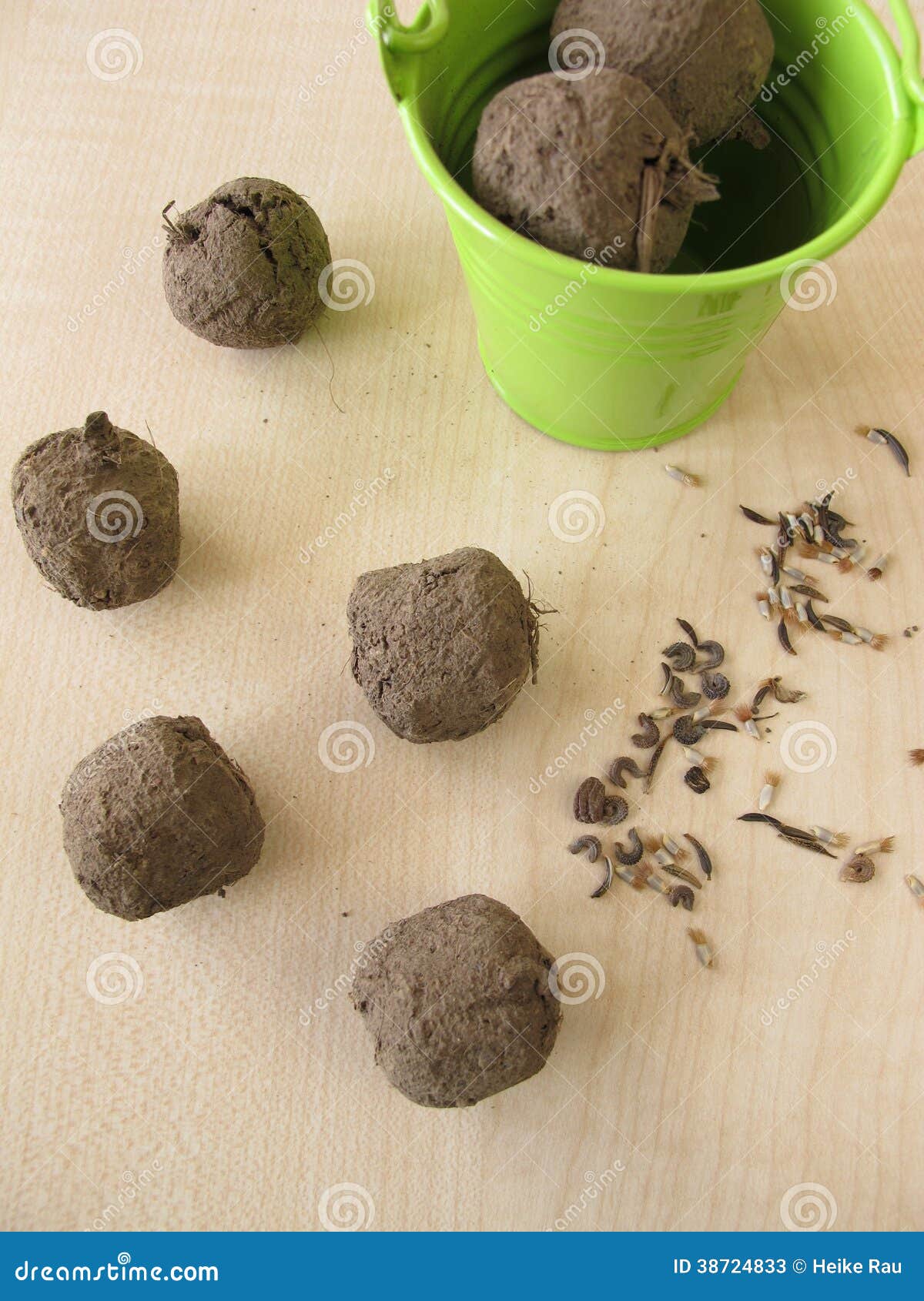 Zaadballen stock afbeelding. Image of bloemen, tuinieren - 38724833