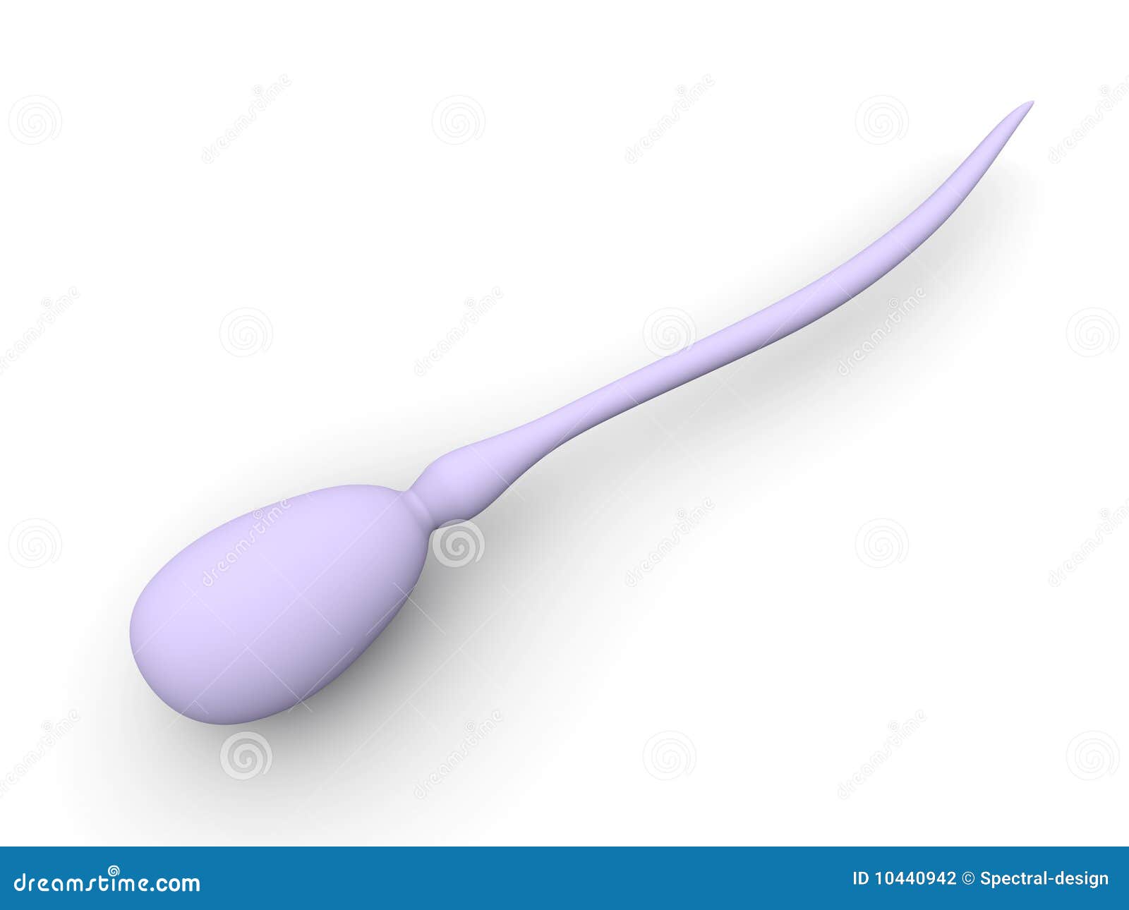 Zaadcel stock illustratie. Illustration of grafisch, biologie - 10440942