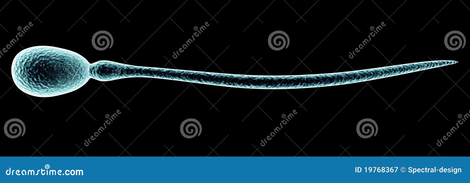 Zaadcel stock illustratie. Illustration of zwanger, grafisch - 19768367