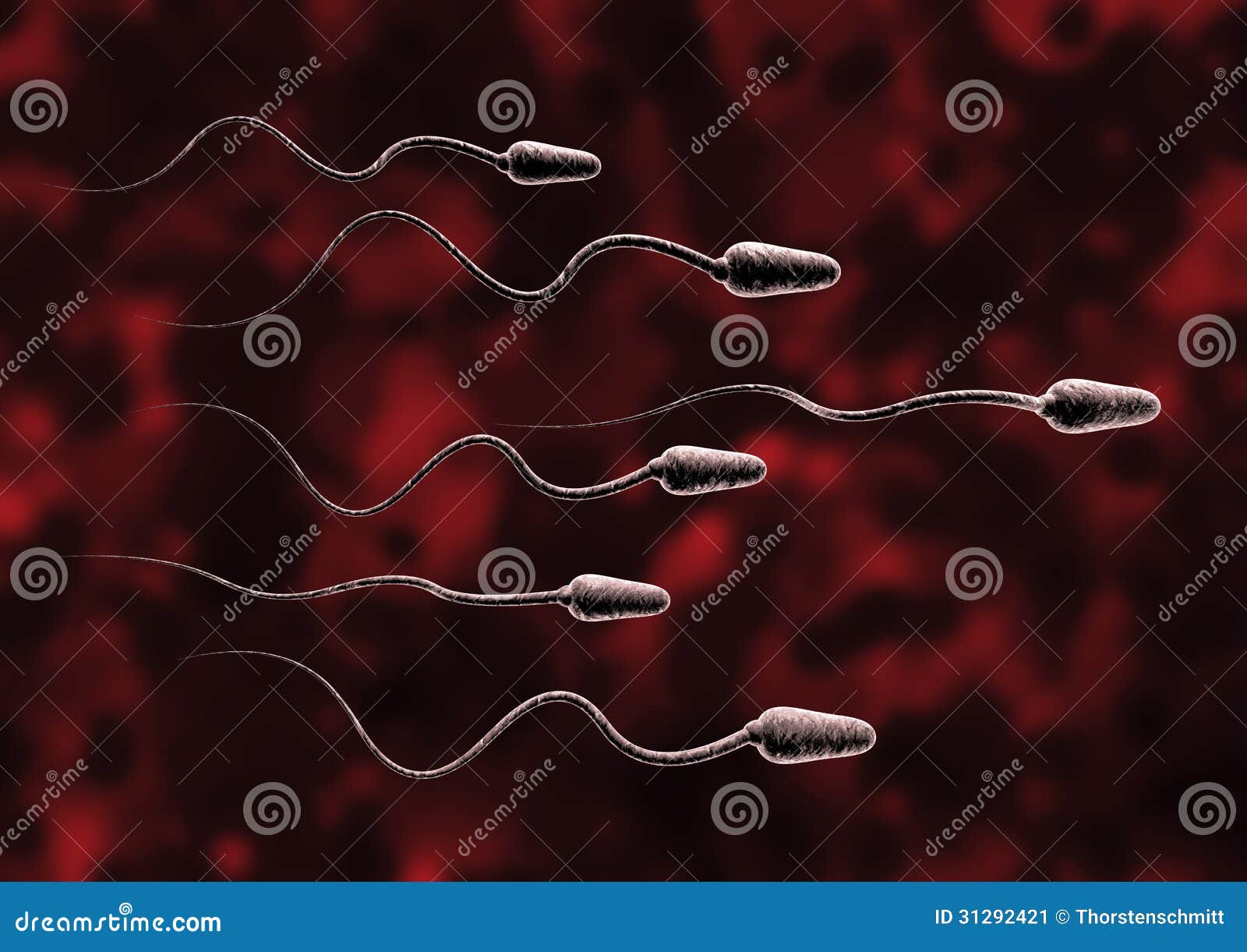 Zaadcel stock illustratie. Illustration of analyse, genoom - 31292421