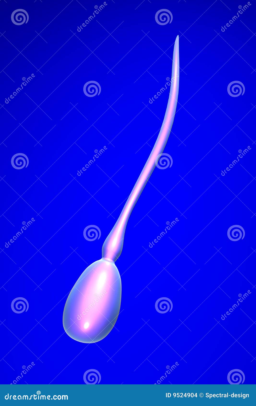 Zaadcel stock illustratie. Illustration of bevrucht, biologie - 9524904