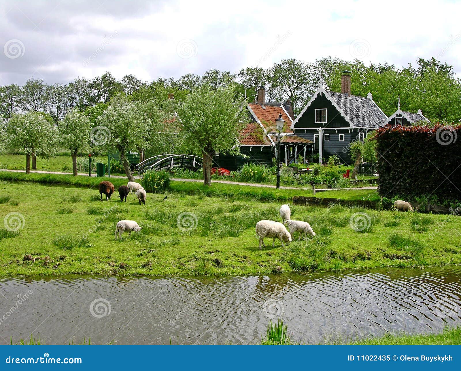 Zaanse Schans Stock Photography | CartoonDealer.com #57770372