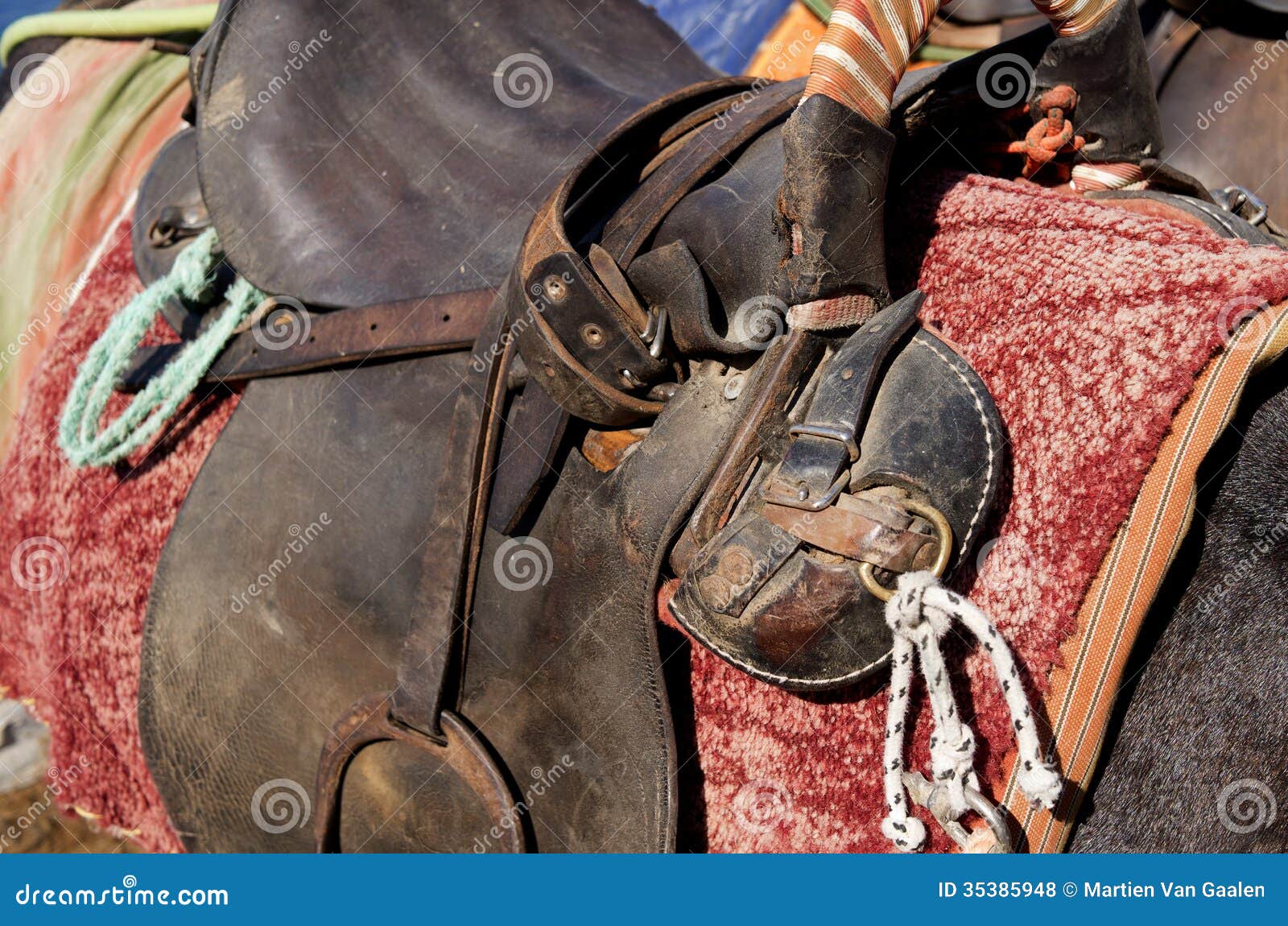 Zadel op een ezel. stock foto. Image of seizoen, vervoer - 35385948