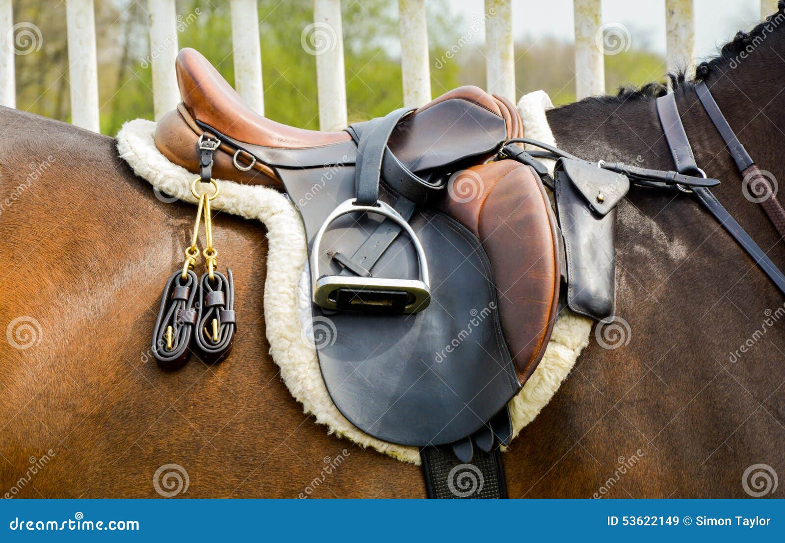 Zadel op Paard stock afbeelding. Image of land, nave - 53622149