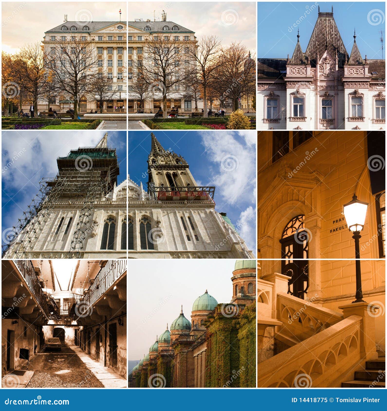 Collage Of European Scops Owl Otus Scops Isolated On White Background ...