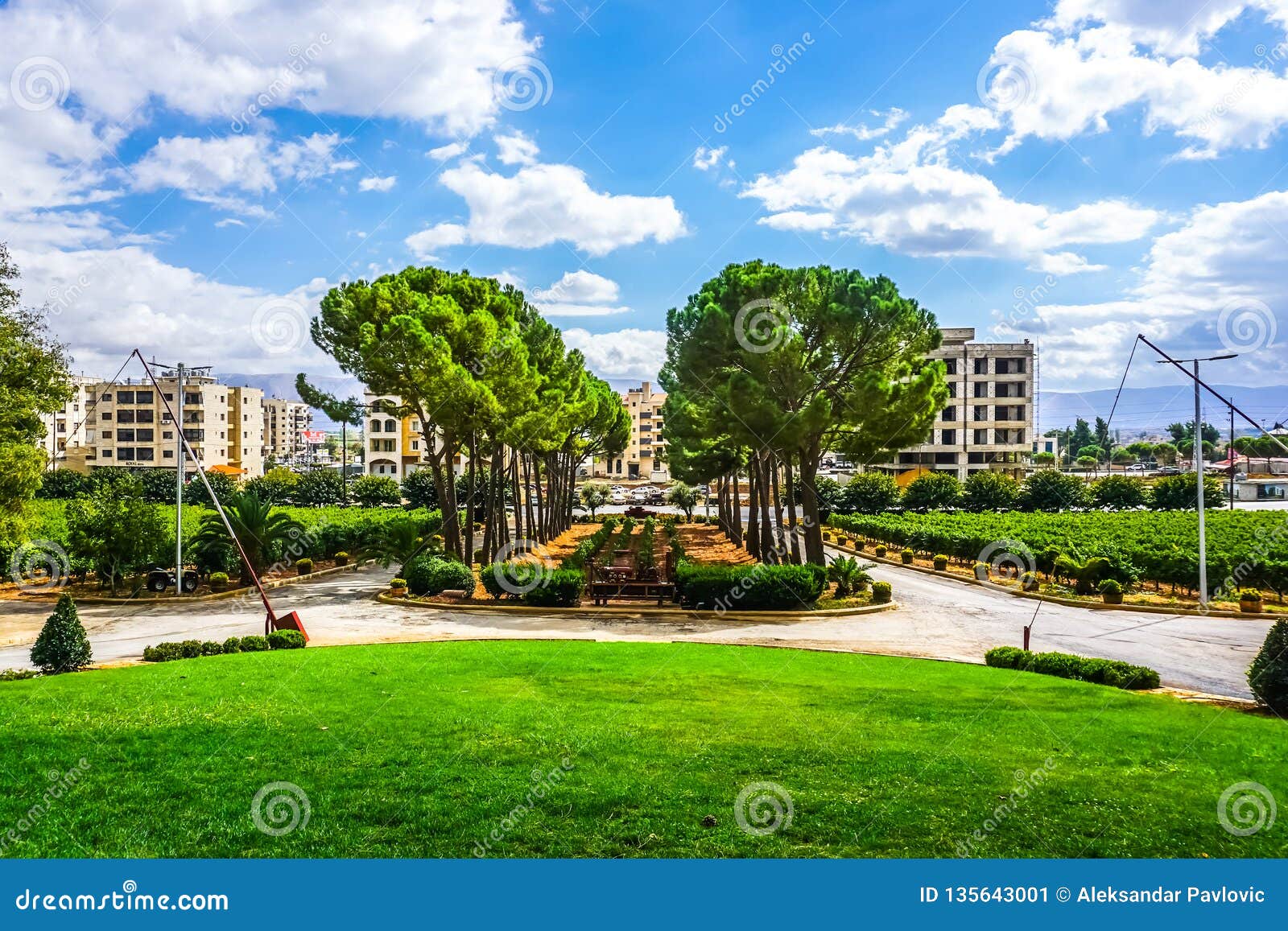 Zahle Trees Leading Line stock image. Image of appealing - 135643001