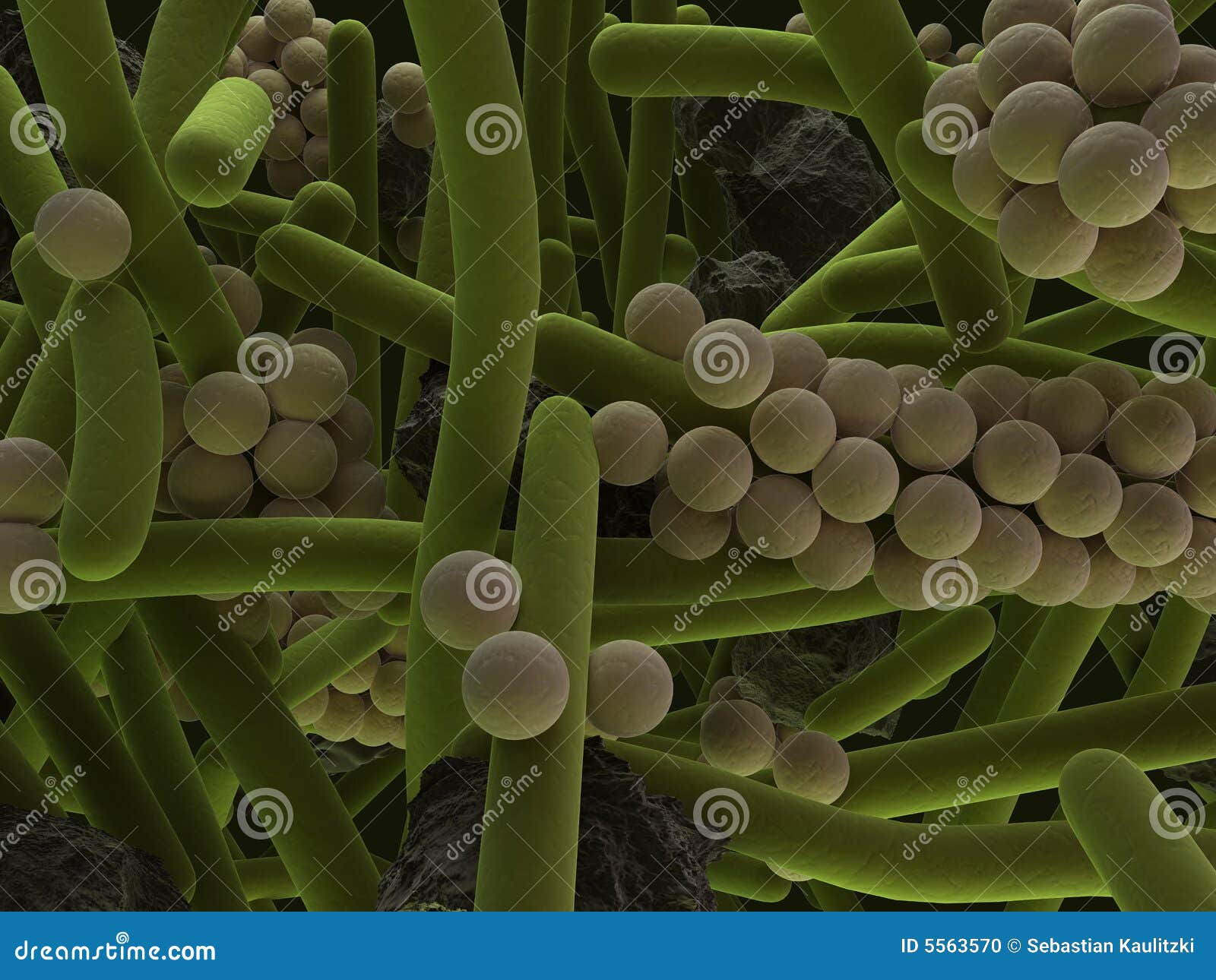Zahnbelag stock abbildung. Illustration von virus, obacht - 5563570