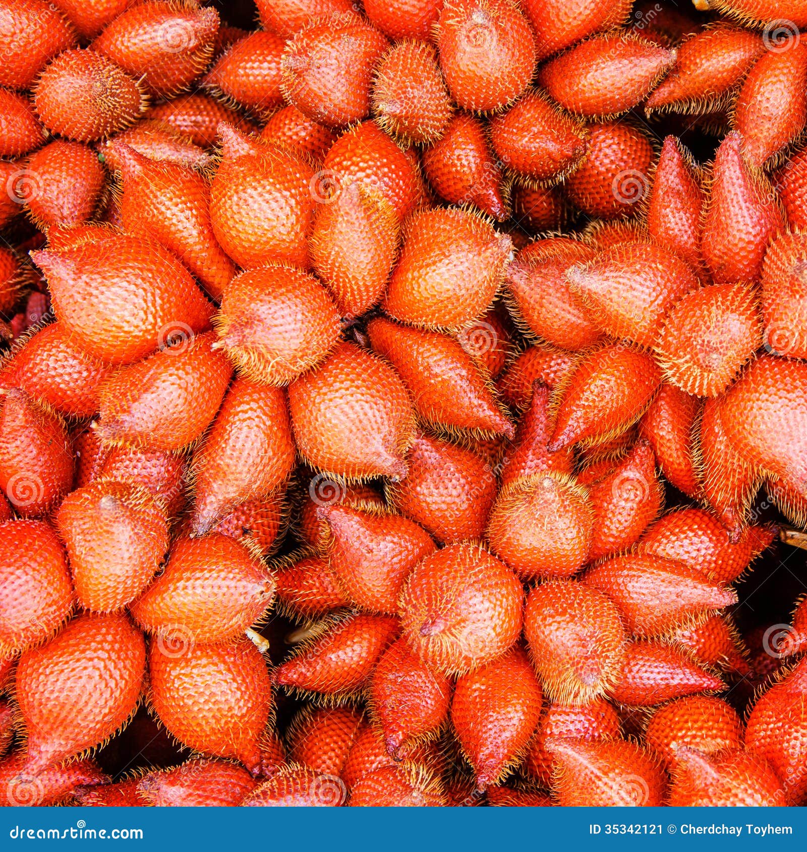 Zalacca, Tropical Sweet Fruit Stock Image - Image of flora, exotic ...