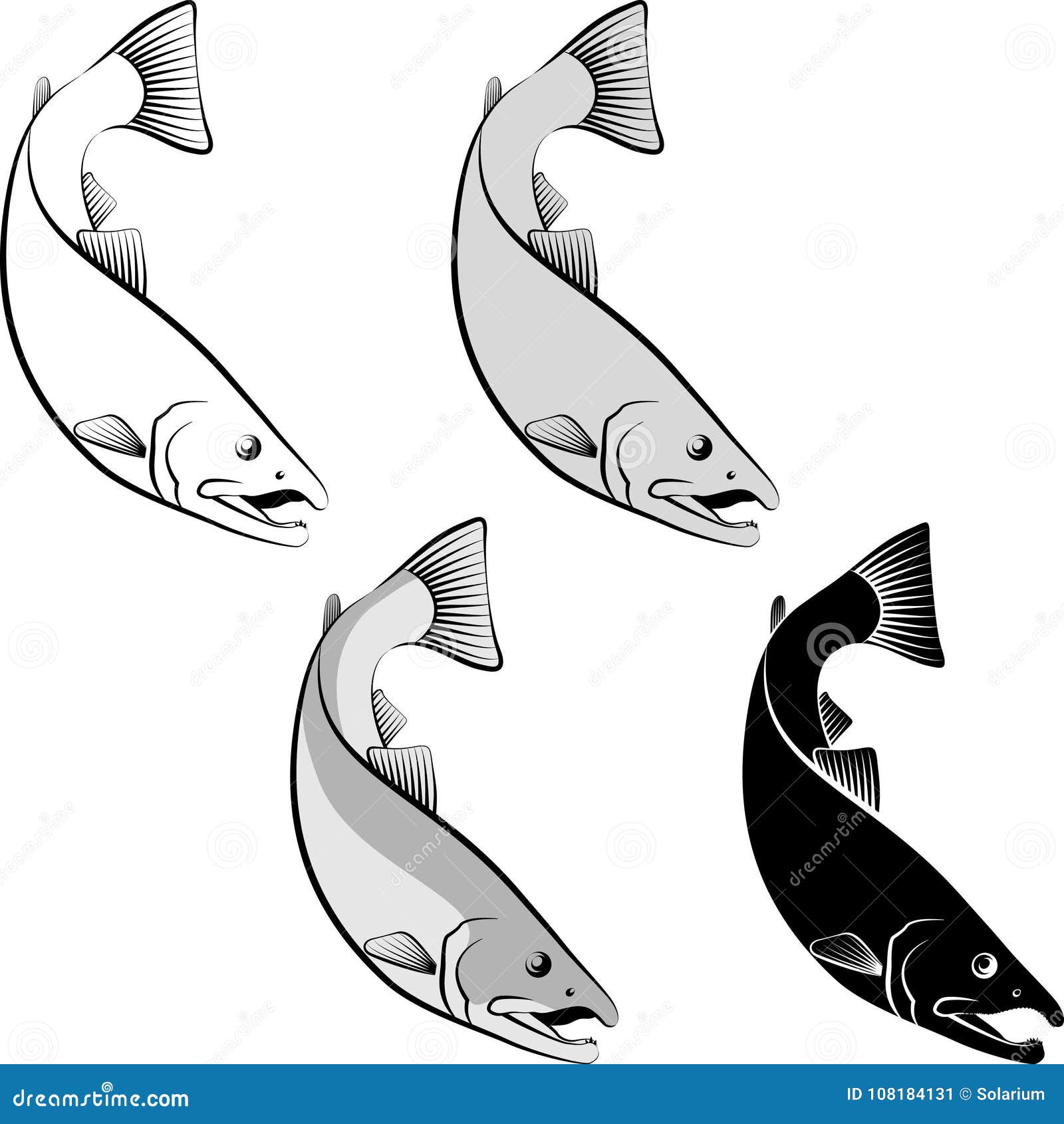Zalm vector illustratie. Illustration of vioolspeler - 108184131