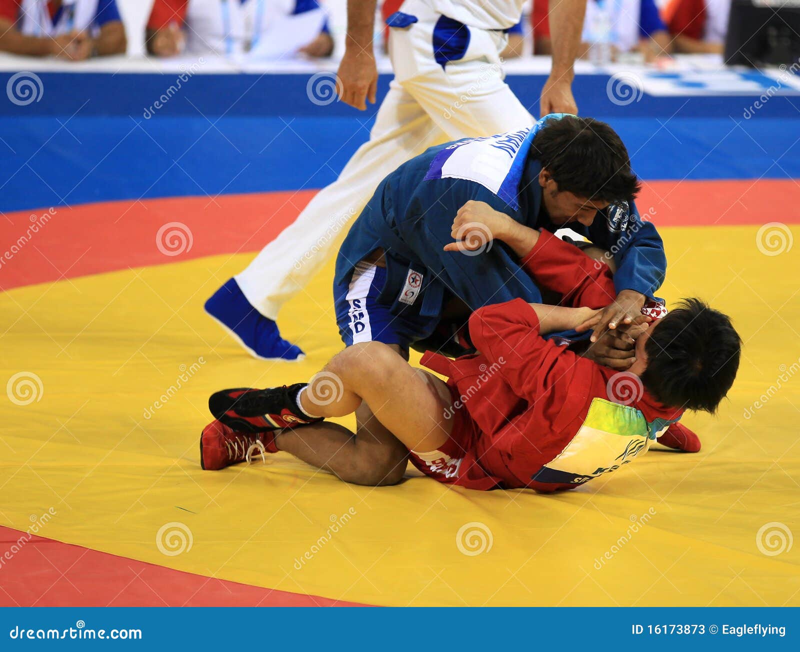 Zambo foto de archivo editorial. Imagen de activo, estera - 16173873