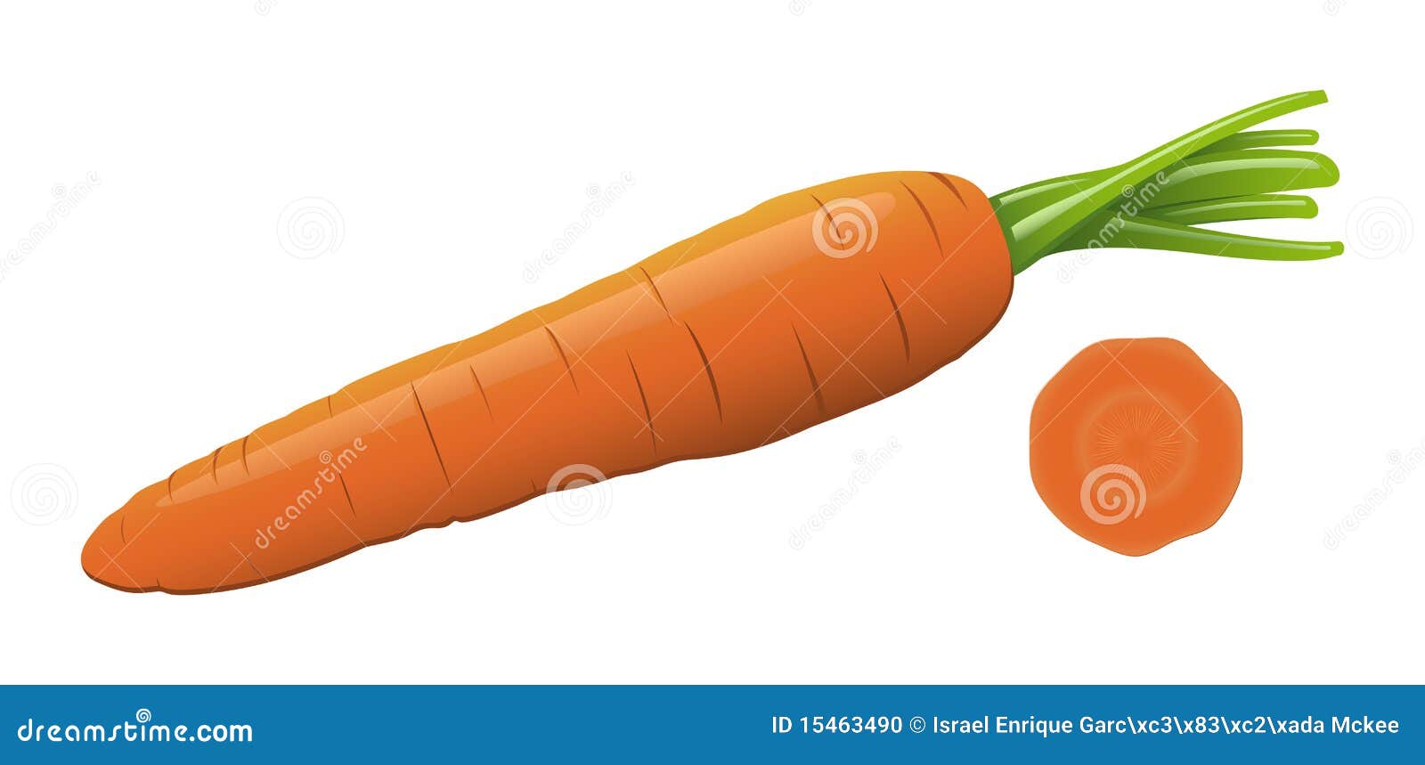 Zanahoria del vector ilustración del vector. Ilustración de primer ...