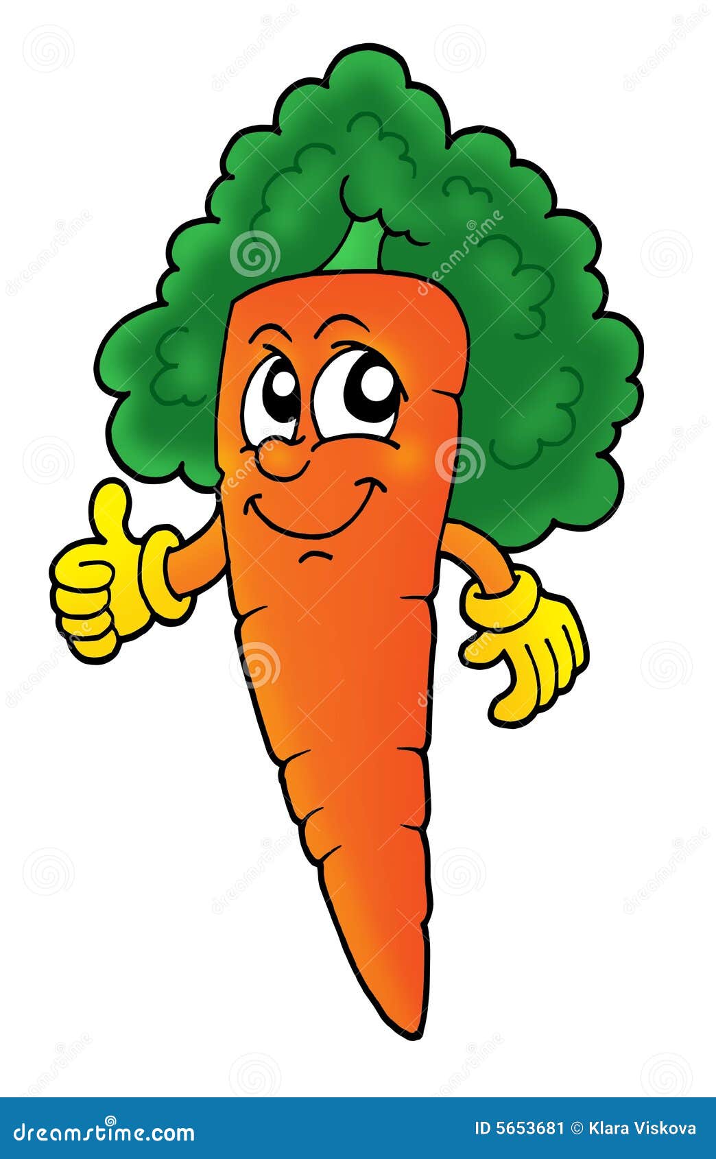 Zanahoria rizada stock de ilustración. Ilustración de campo - 5653681