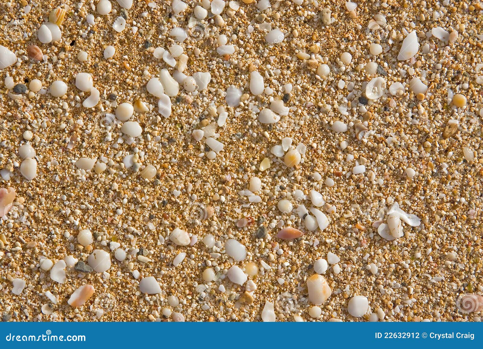 Zand en Shell Achtergrond stock foto. Image of schelp - 22632912