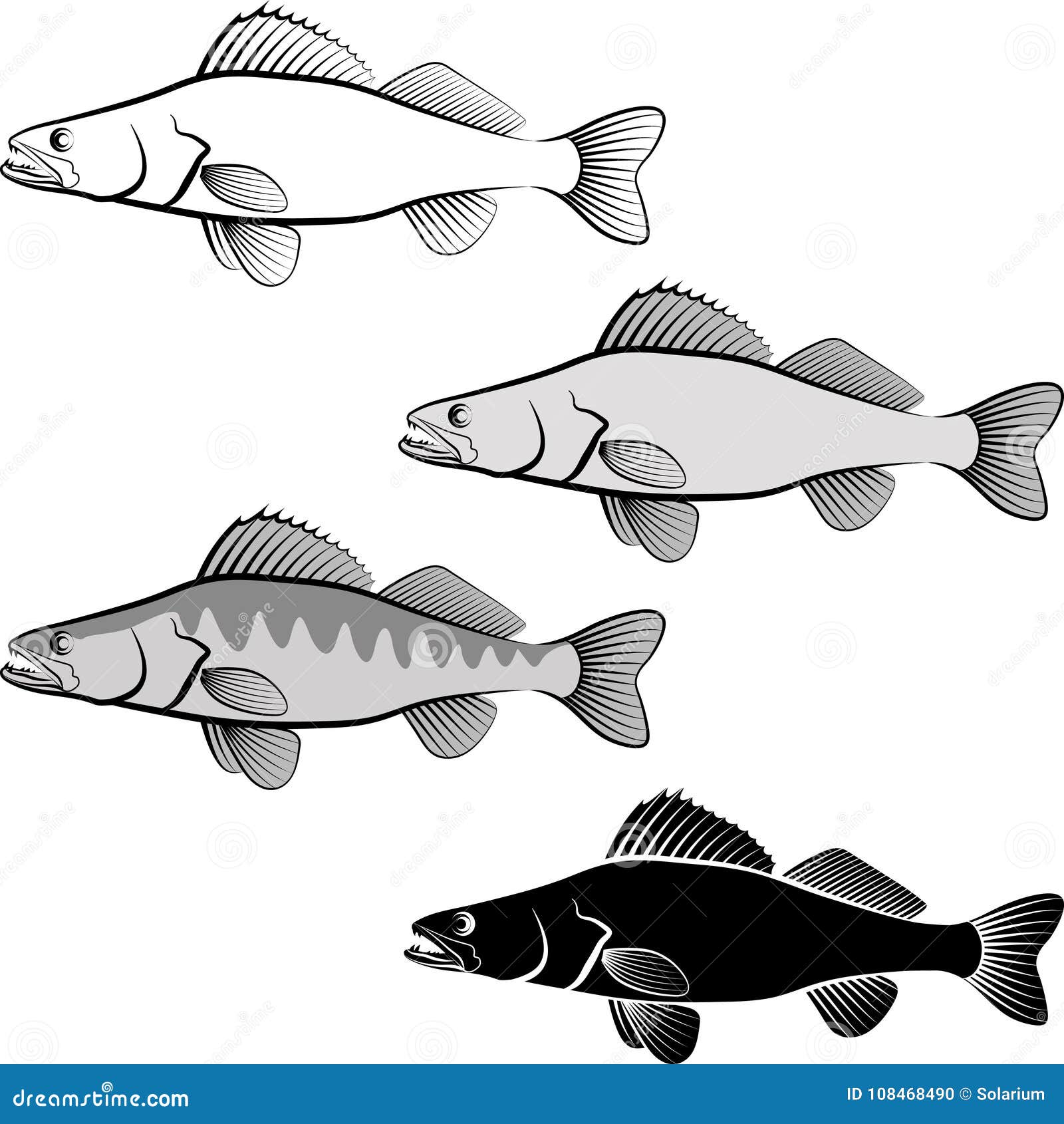 Zander Stock Illustrationen, Vektors, & Klipart – (137 Stock Illustrations)