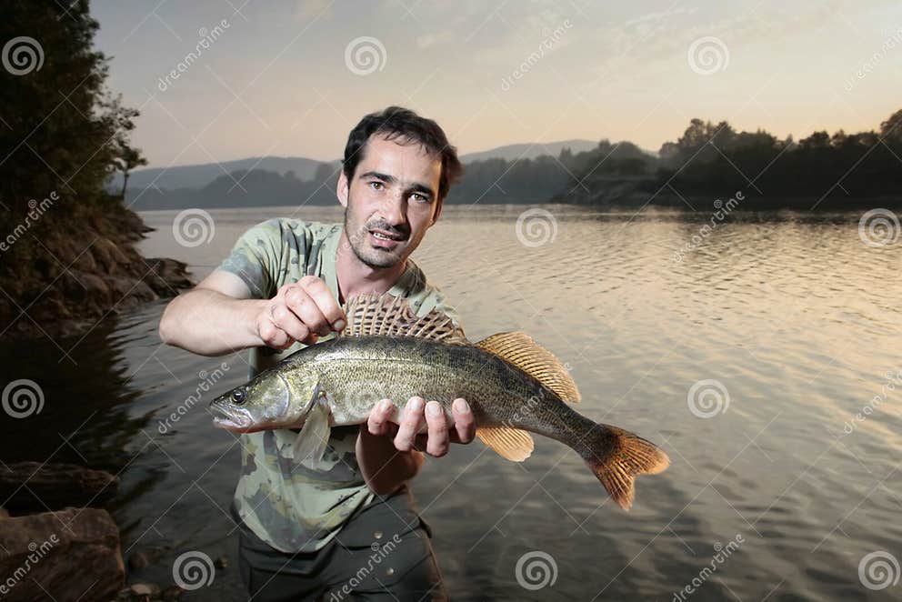 Zander stock image. Image of spiky, aquatic, passion - 15037943