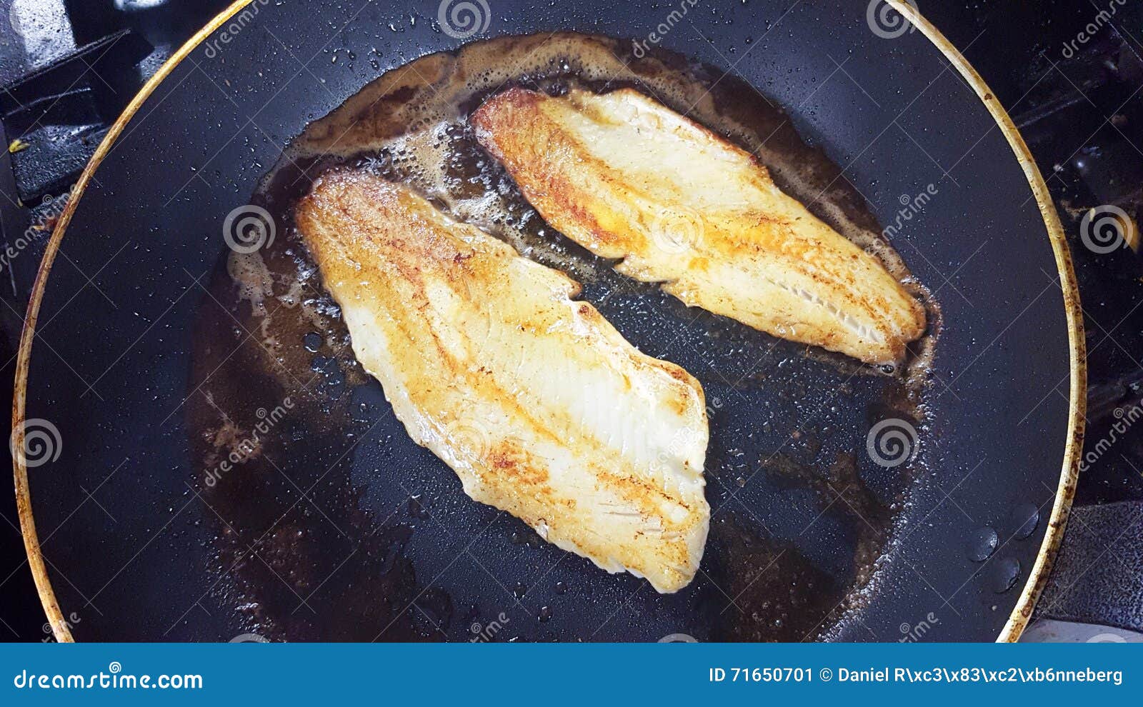 Zander fillets stock image. Image of herbs, fillet, pikeperch - 71650701