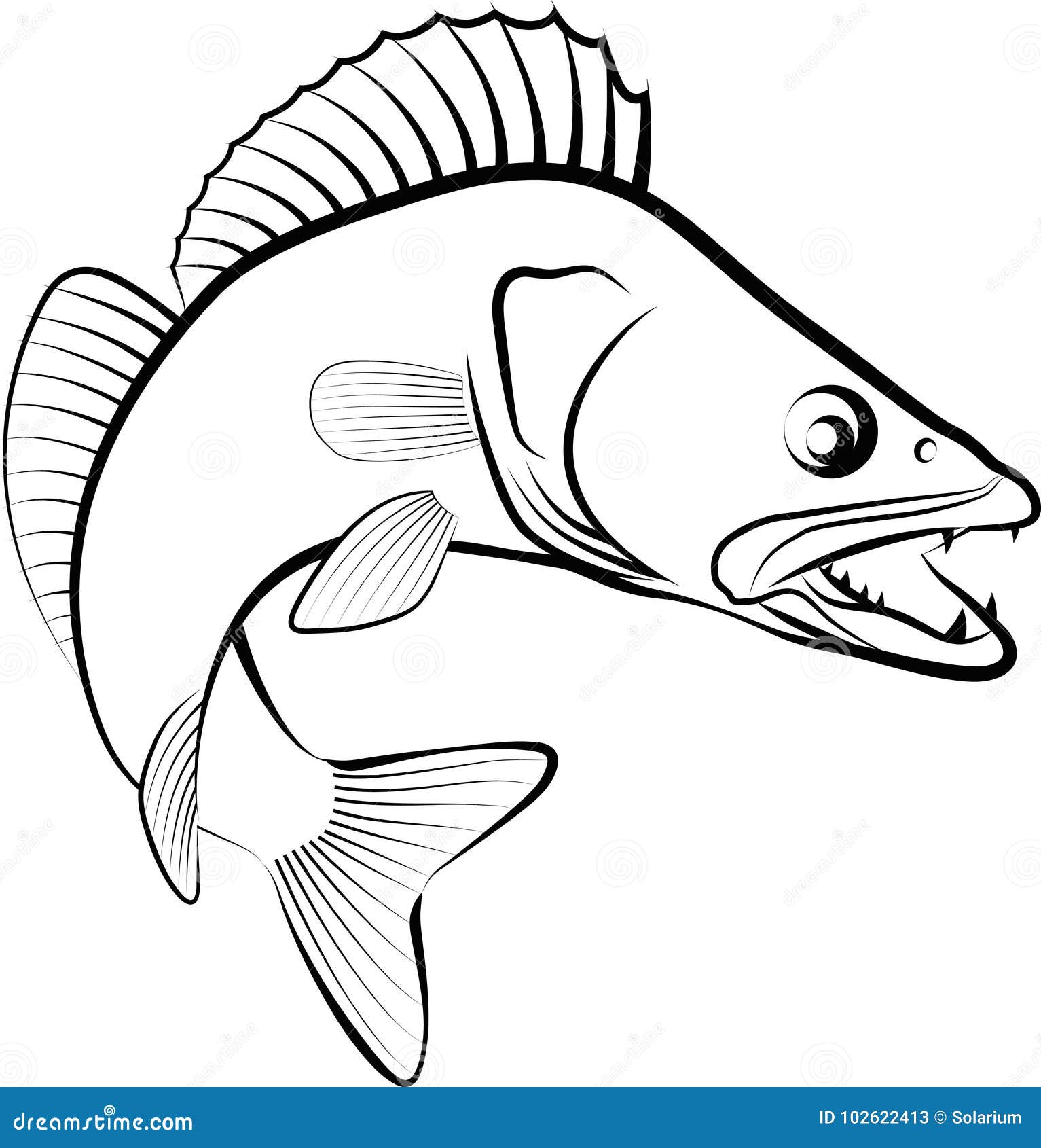 Zander (Sander Lucioperca) Silhouette, Vector Isolated On White ...