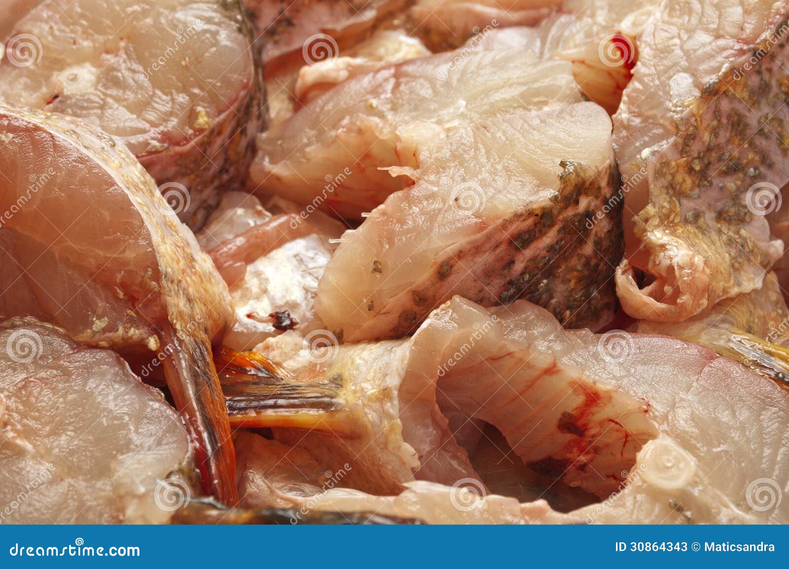 Zander fish fillets stock image. Image of market, fillet - 30864343