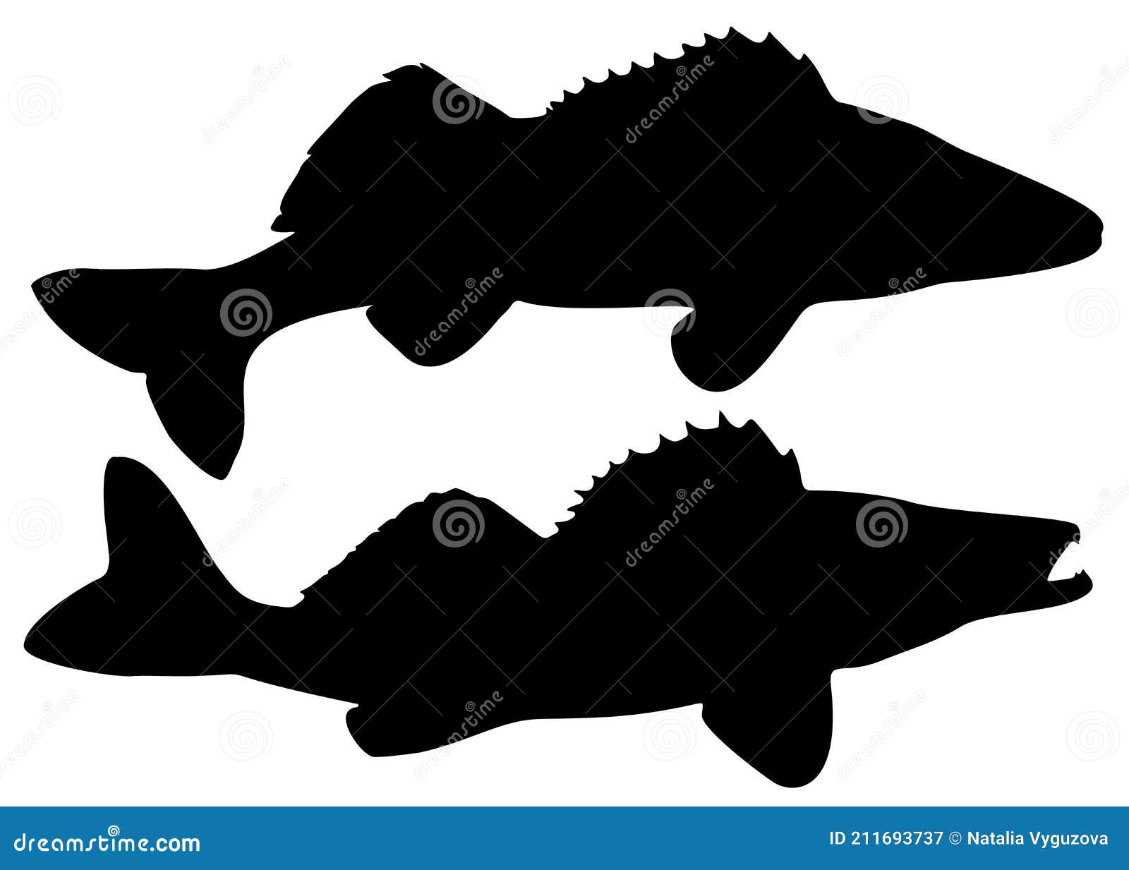 Zander Fish Jumping Out Of The Water. Silhouette Emblem On The ...