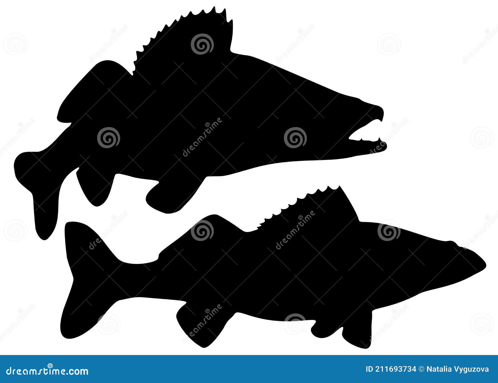 Zander Fish Jumping Out Of The Water. Black And White Silhouette Emblem ...