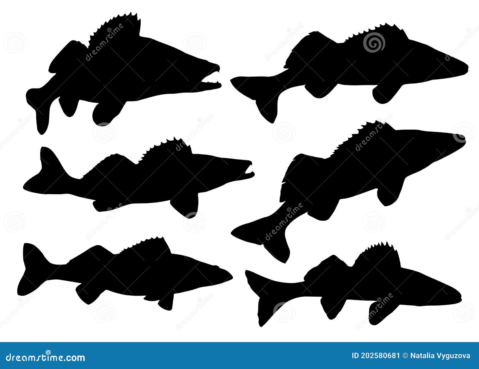 Zander Fish Jumping Out Of The Water. Black And White Silhouette Emblem ...