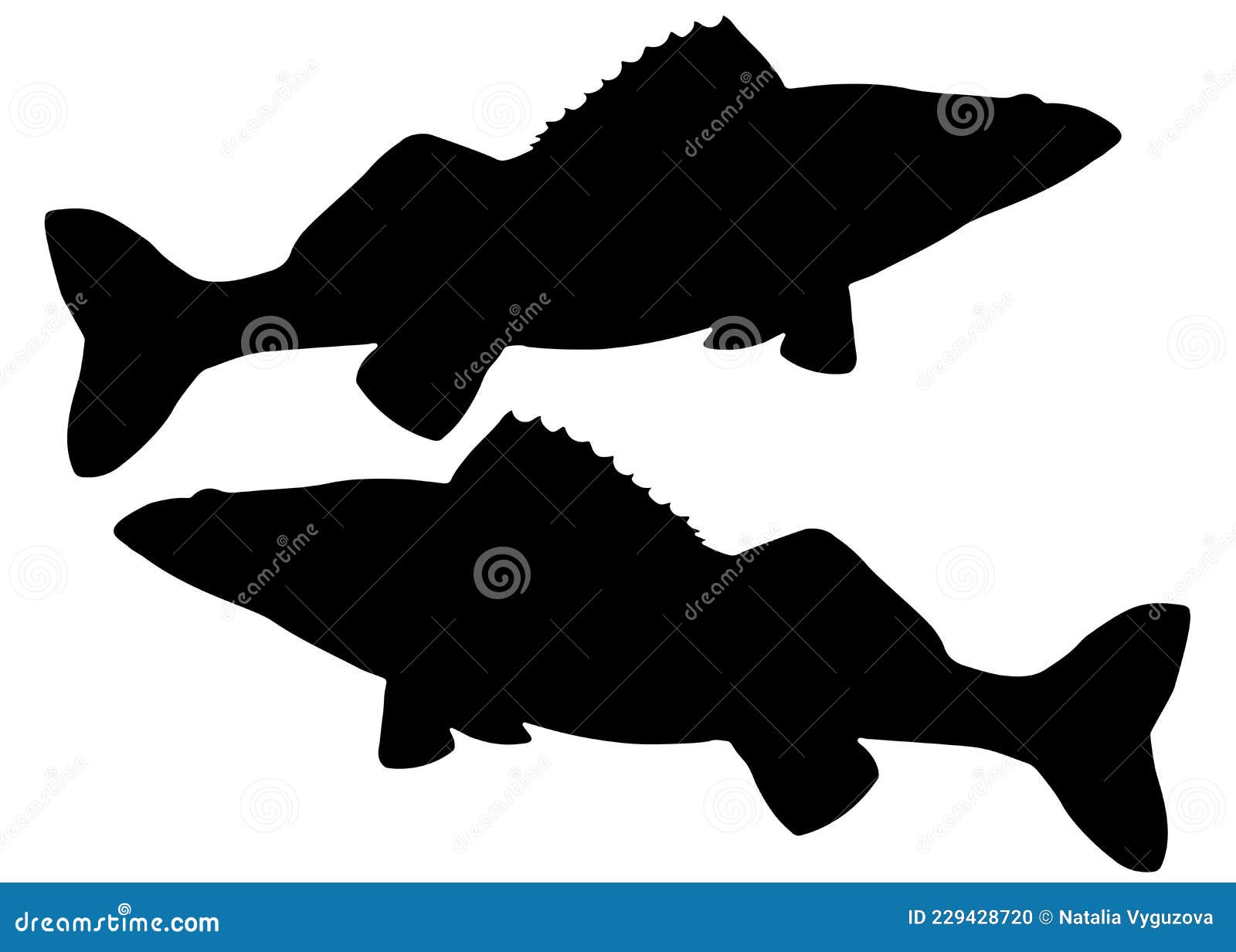Zander Fish Jumping Out Of The Water. Silhouette Emblem On The ...