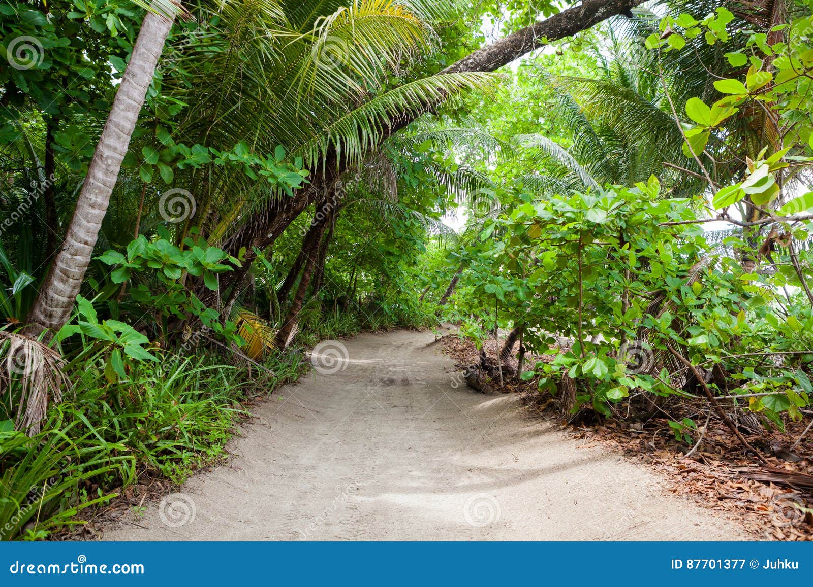 Zandweg Aan Het Strand in Tropisch Bos Stock Afbeelding - Image of ...