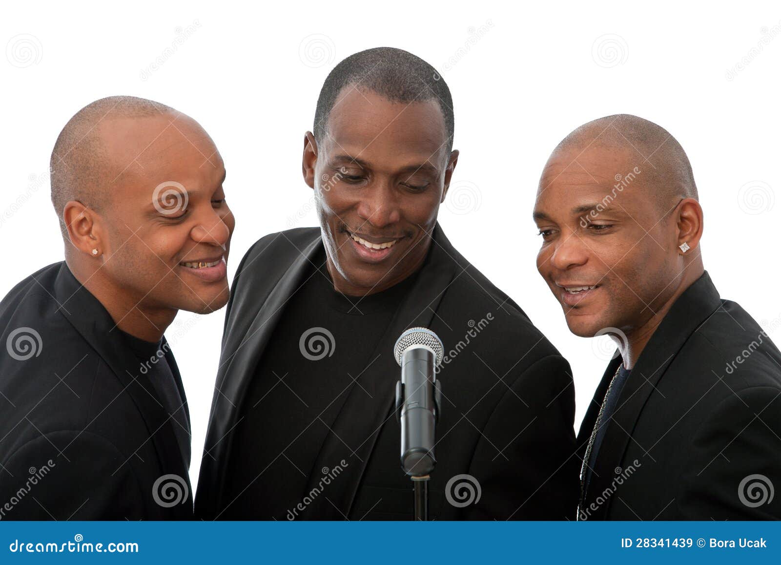 Zangers stock afbeelding. Image of muziek, partij, viering - 28341439